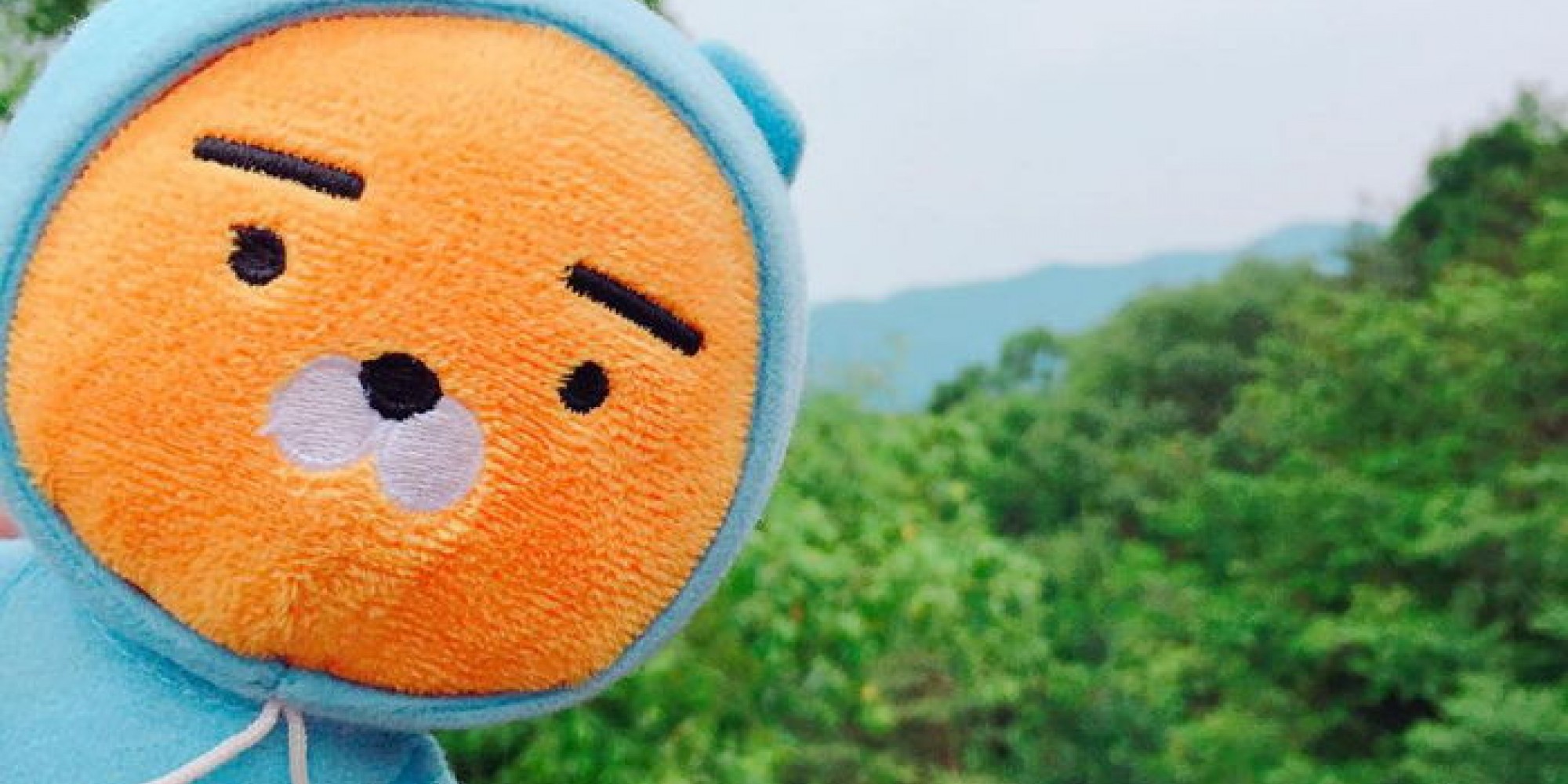 카카오프렌즈 최초로 팬페이지 생긴 ‘라이언’ - 인사이트