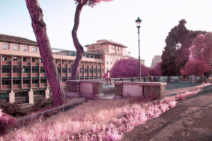 He Photographed Pink Rome by Infrared Camera, the Results Are Mesmerizing