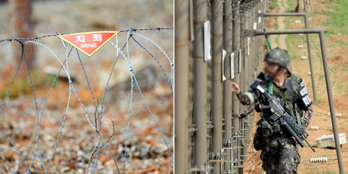 DMZ 평화관광사업 추진하는 정부···폭발위험 있는 ‘매설 지뢰’ 파악 다 못했다 - 인사이트