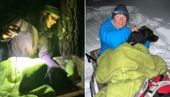 산속에 고립됐는데 ‘150cm 눈’에 파묻혀 주인 올 때까지 기다린 반려견 - 인사이트